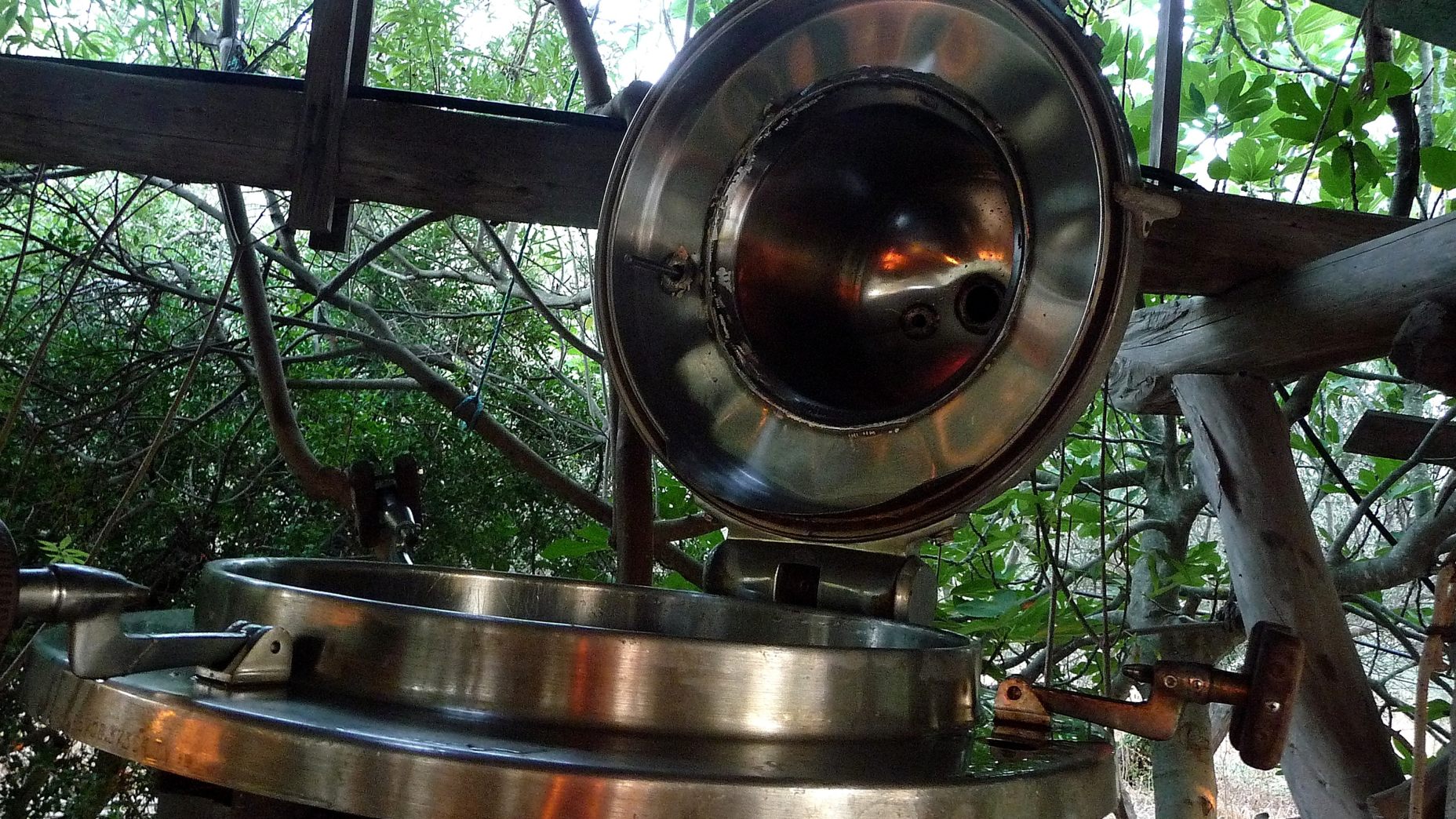 From harvest to distillation: a day of Myrtus